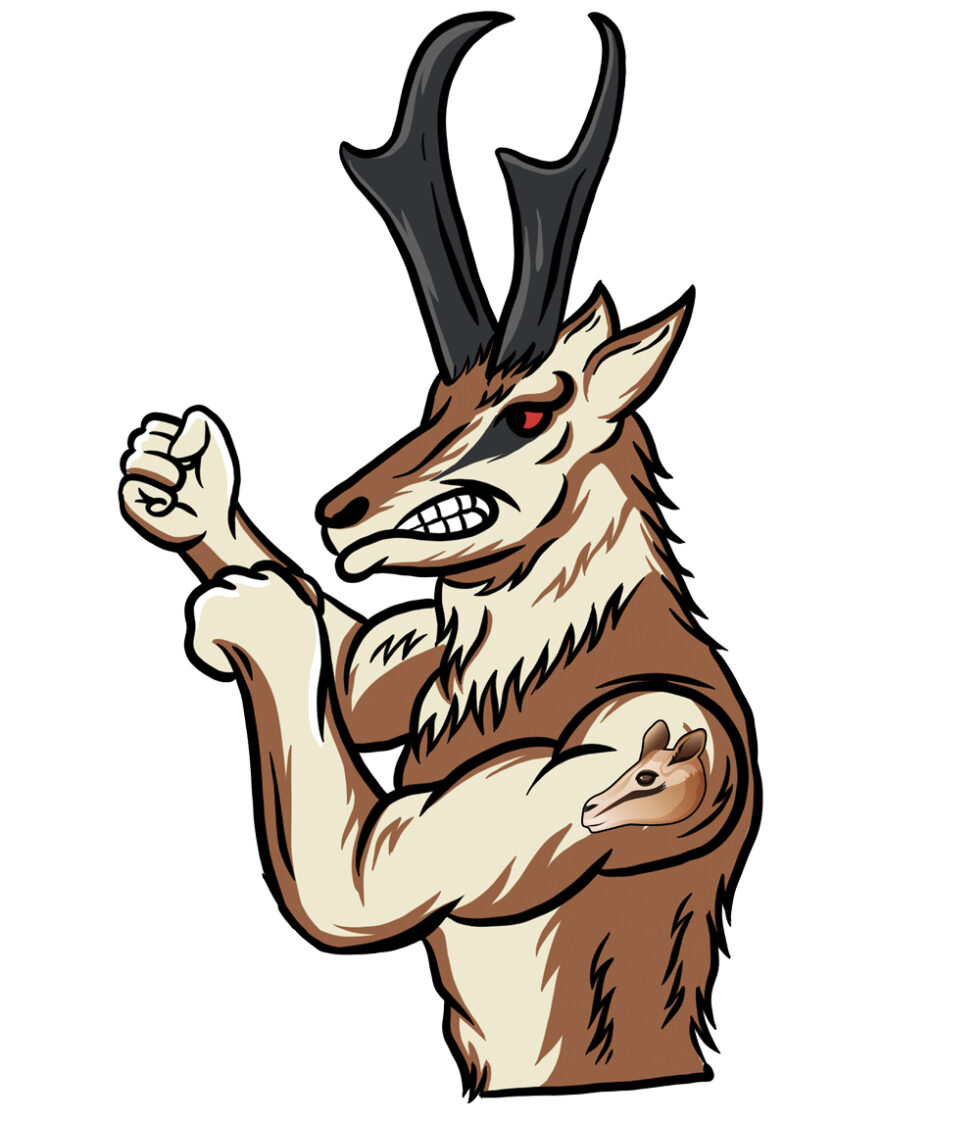 Nature’s Posse | Whitetail Windows