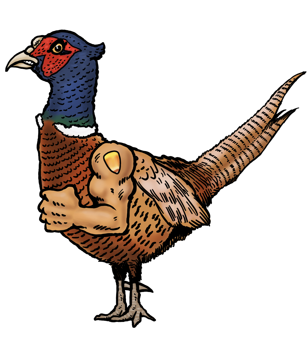 Nature’s Posse | Whitetail Windows